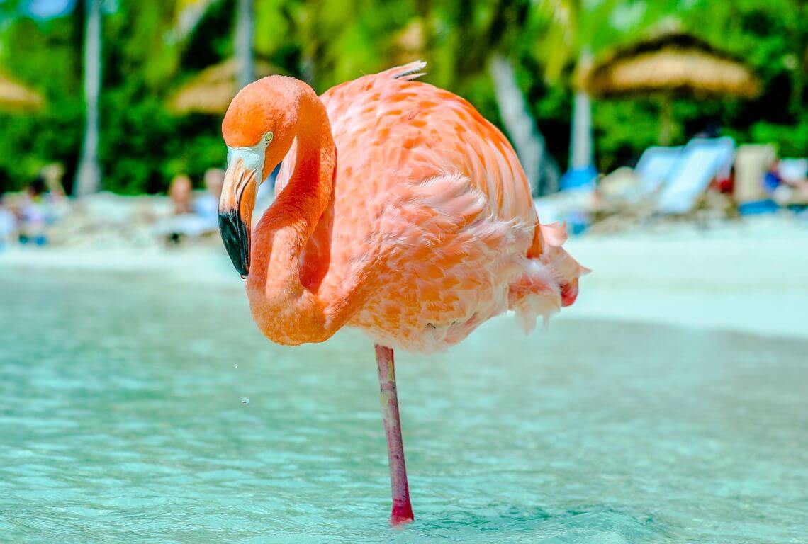 The Most Exotic Places to Visit in the World